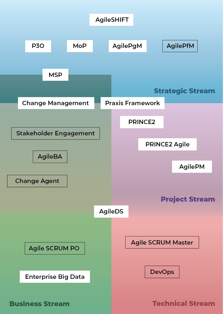 HiLogic: PPM and agile career journey
