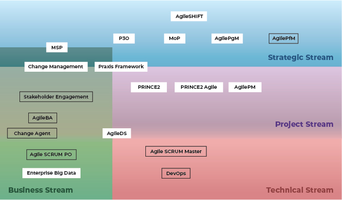 HiLogic: PPM and agile career journey